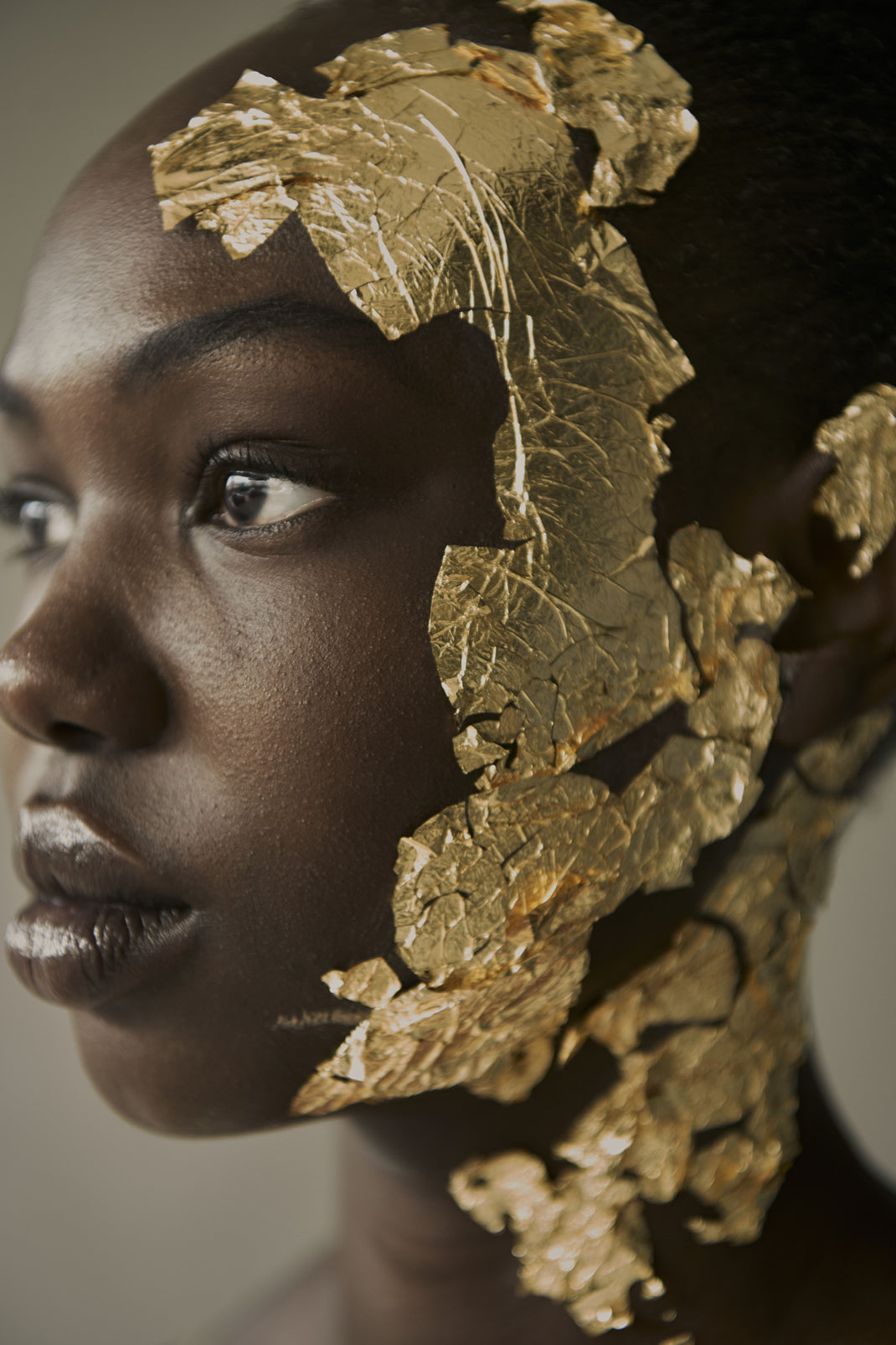 Venustus | Paddington, Sydney